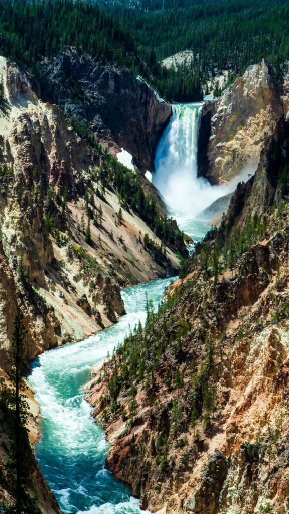 Jackson Hole Wildlife Safaris | Grand Teton & Yellowstone Tours
