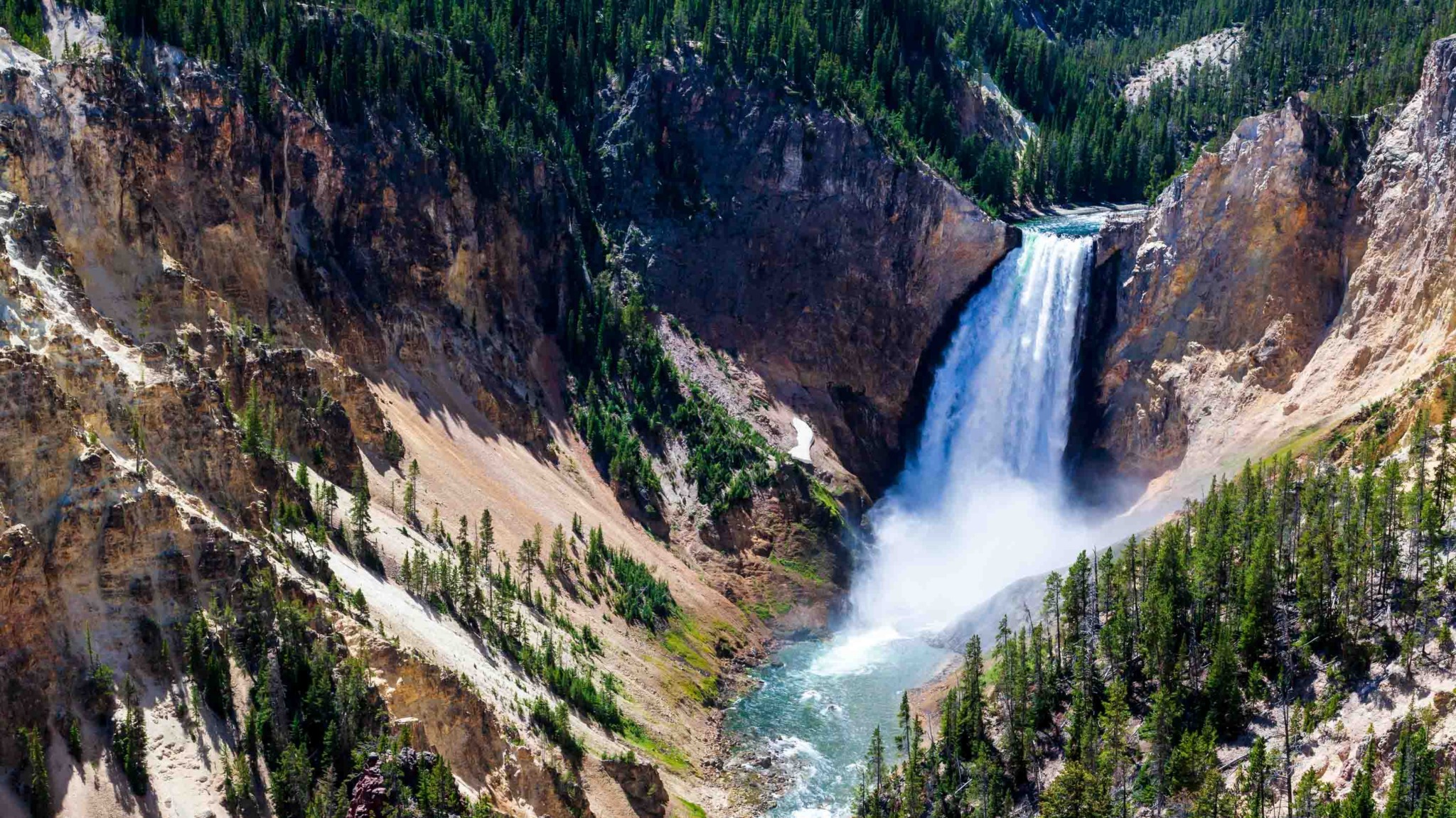 Yellowstone National Park Tours | Wildlife & Photography