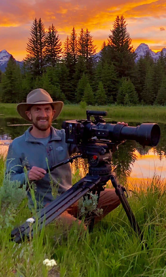 The Season of the Wolf - Jackson Hole Wildlife Safari