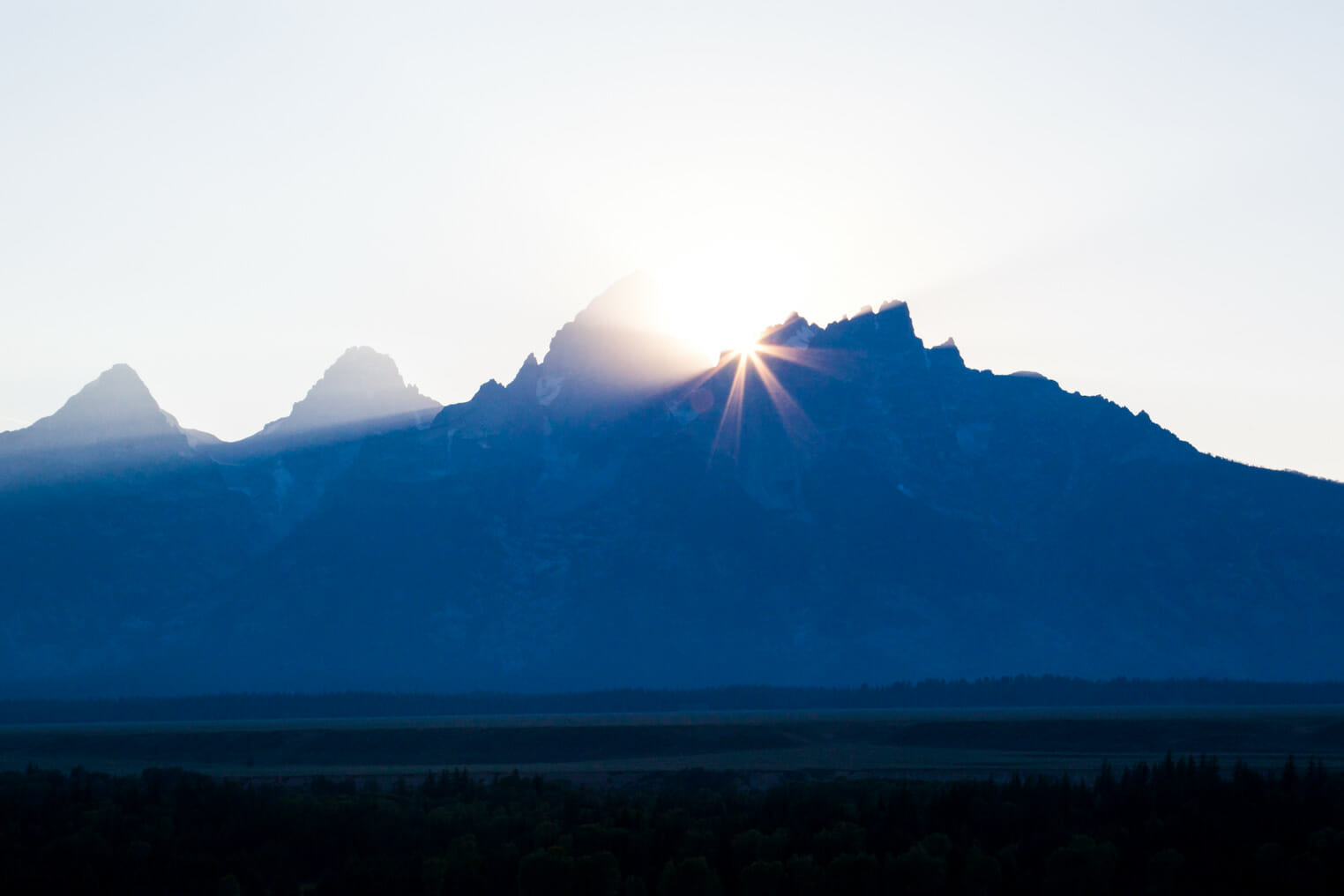 Snake River Scenic Float & Sunset Wildlife Safari | Grand Teton