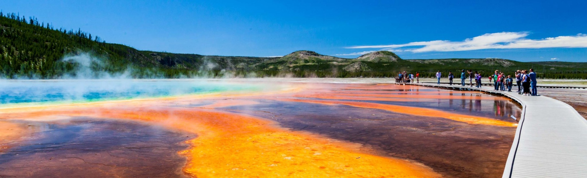 Fun Facts About Yellowstone National Park | Wildlife Facts