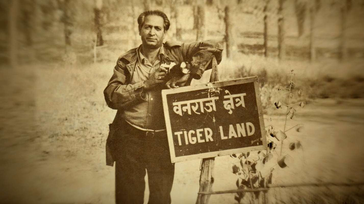 Incredible India! - Jackson Hole Wildlife Safaris