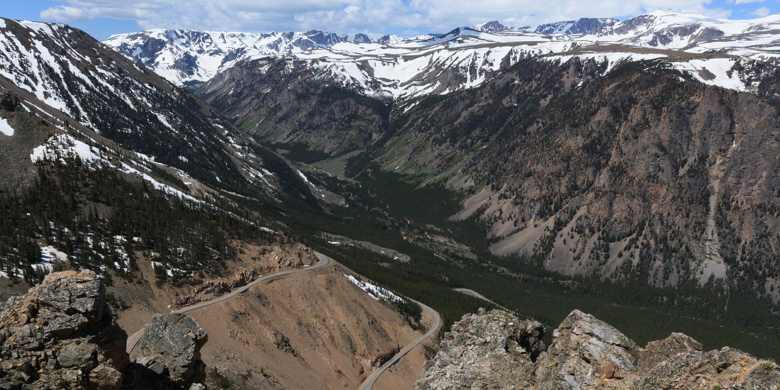 Wildlife Viewing at Dunraven Pass in Yellowstone National Park