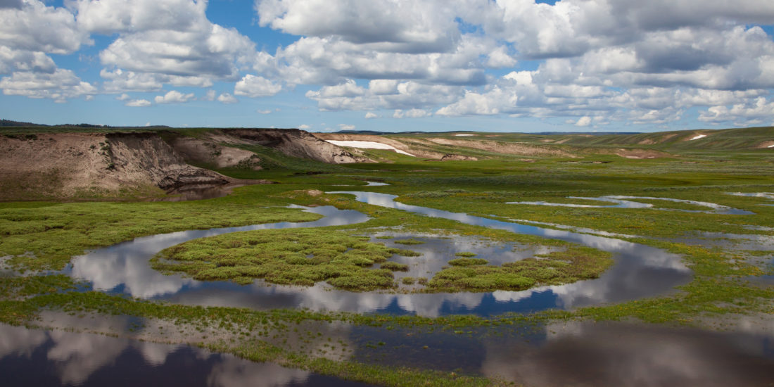 Best Places to View Wildlife in Yellowstone: Hayden Valley - Jackson ...