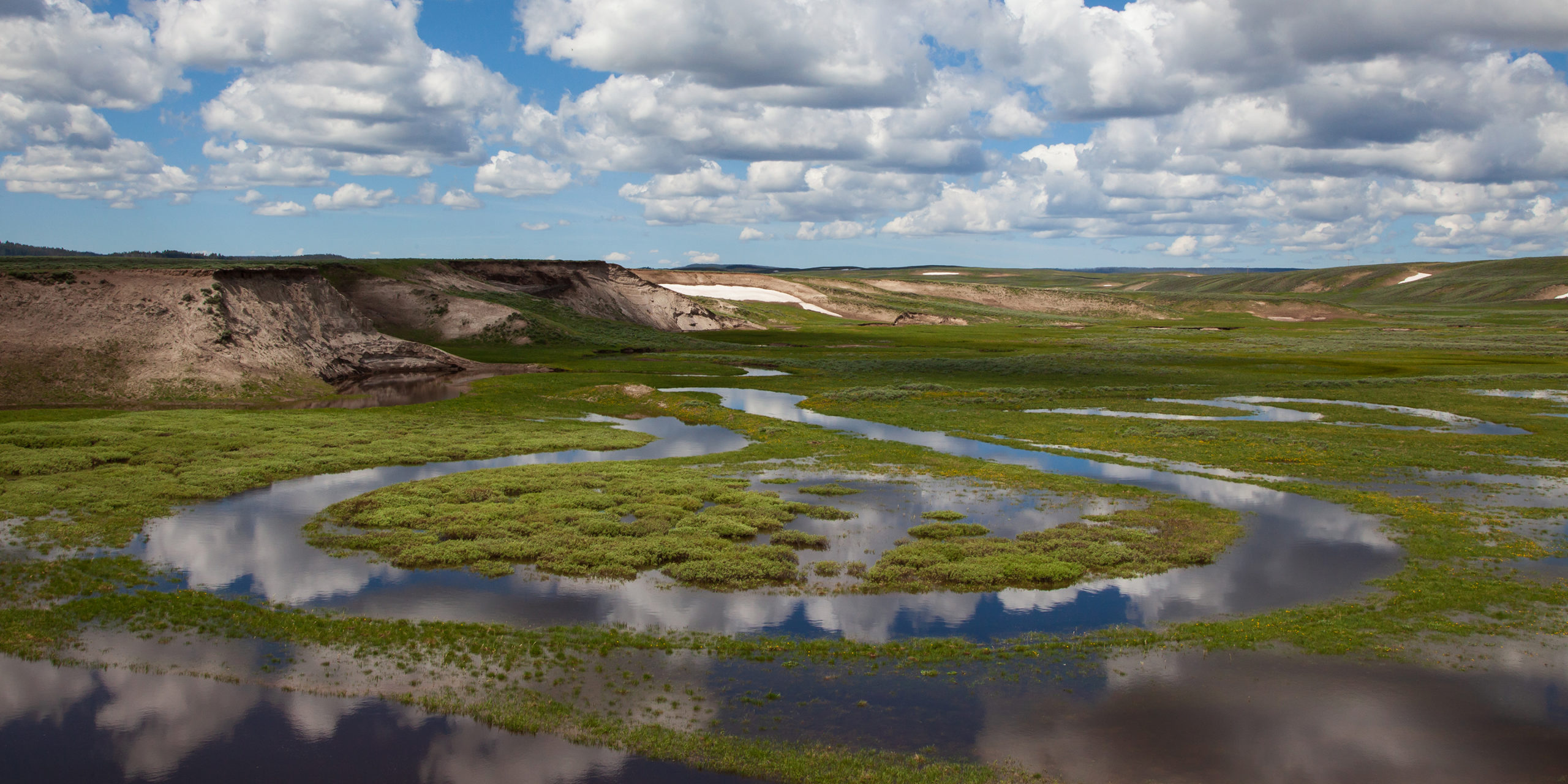 Wildlife Viewing at Hayden Valley in Yellowstone National Park