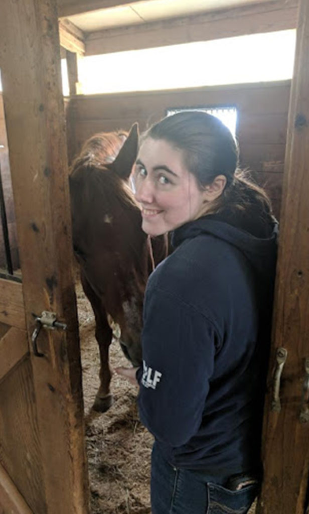 What is the Greater Yellowstone Ecosystem?