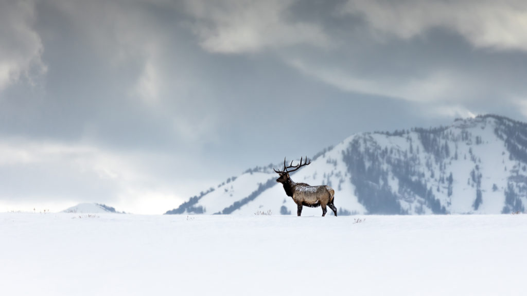 A Month by Month Guide to Grand Teton National Park - Jackson Hole ...