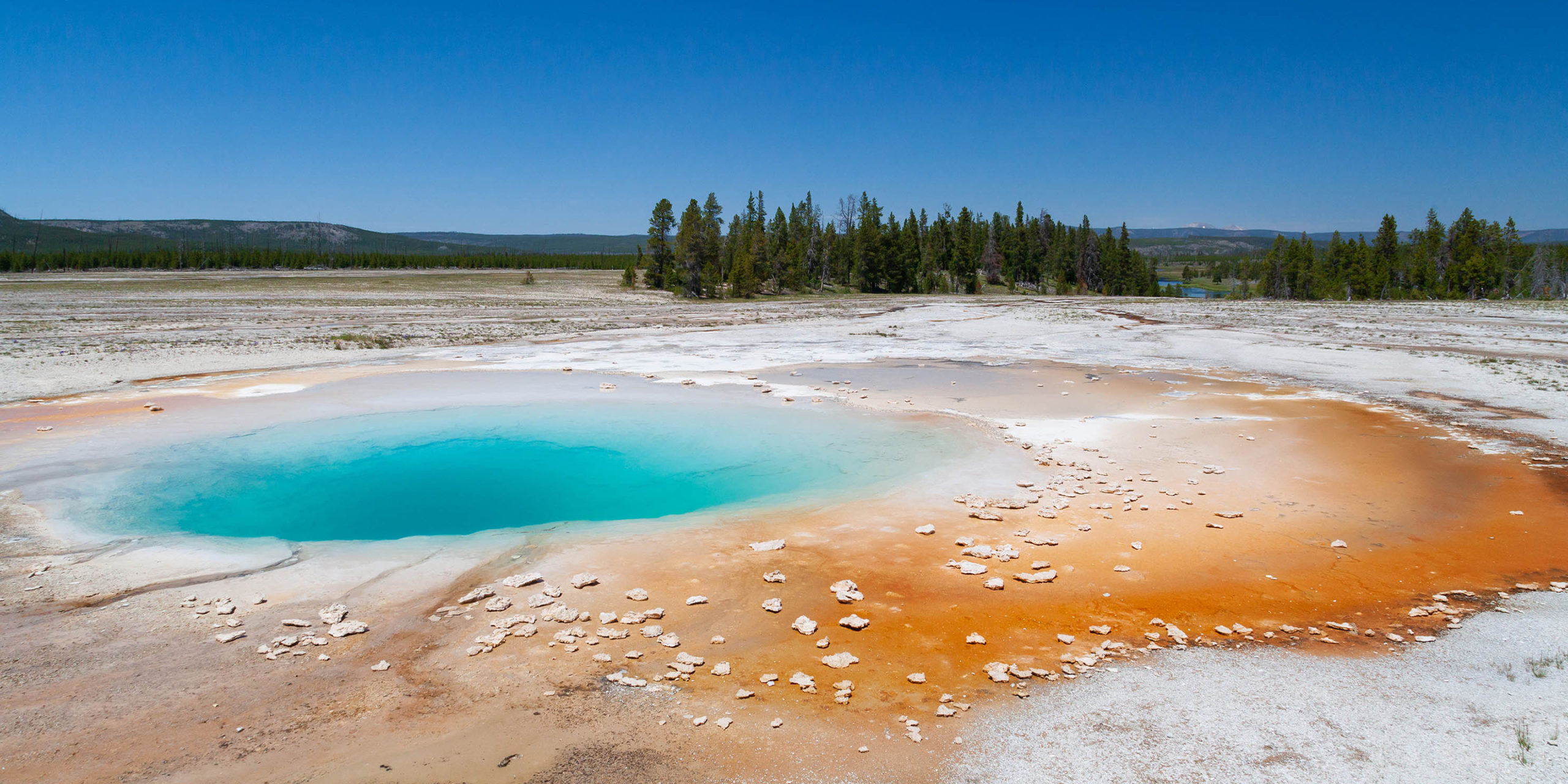Yellowstone Day Tours - Jackson Hole Wildlife Safaris