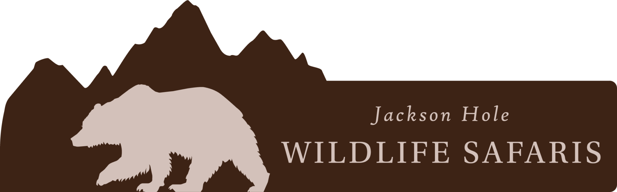 Wildlife: Badger - Jackson Hole Wildlife Safaris