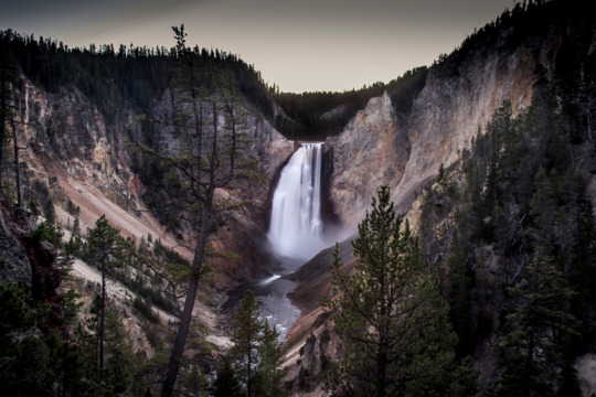 Yellowstone Day Tours: Experience America’s First National Park in One ...