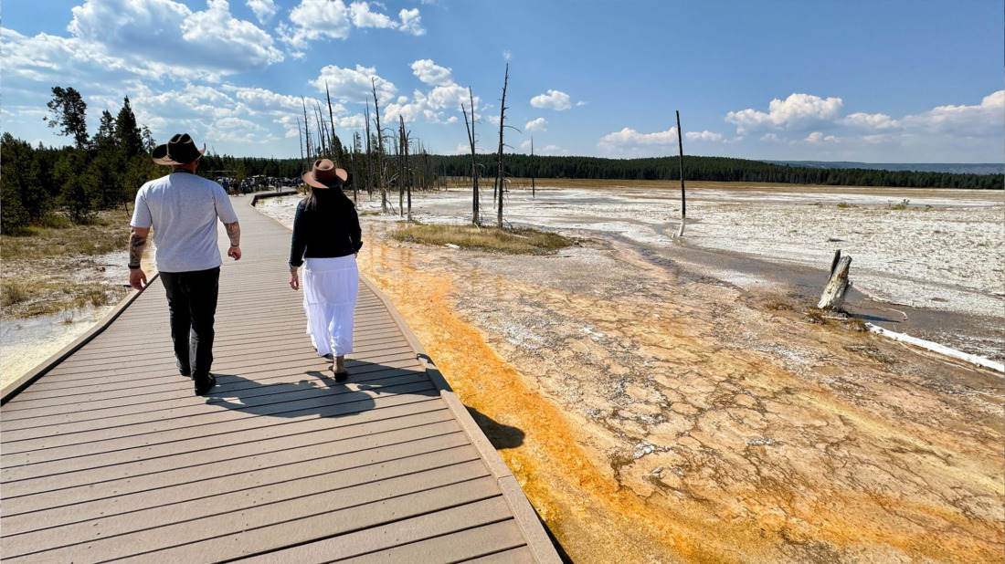 Yellowstone Park Tours: Expert-Guided Wildlife Experiences from Jackson ...