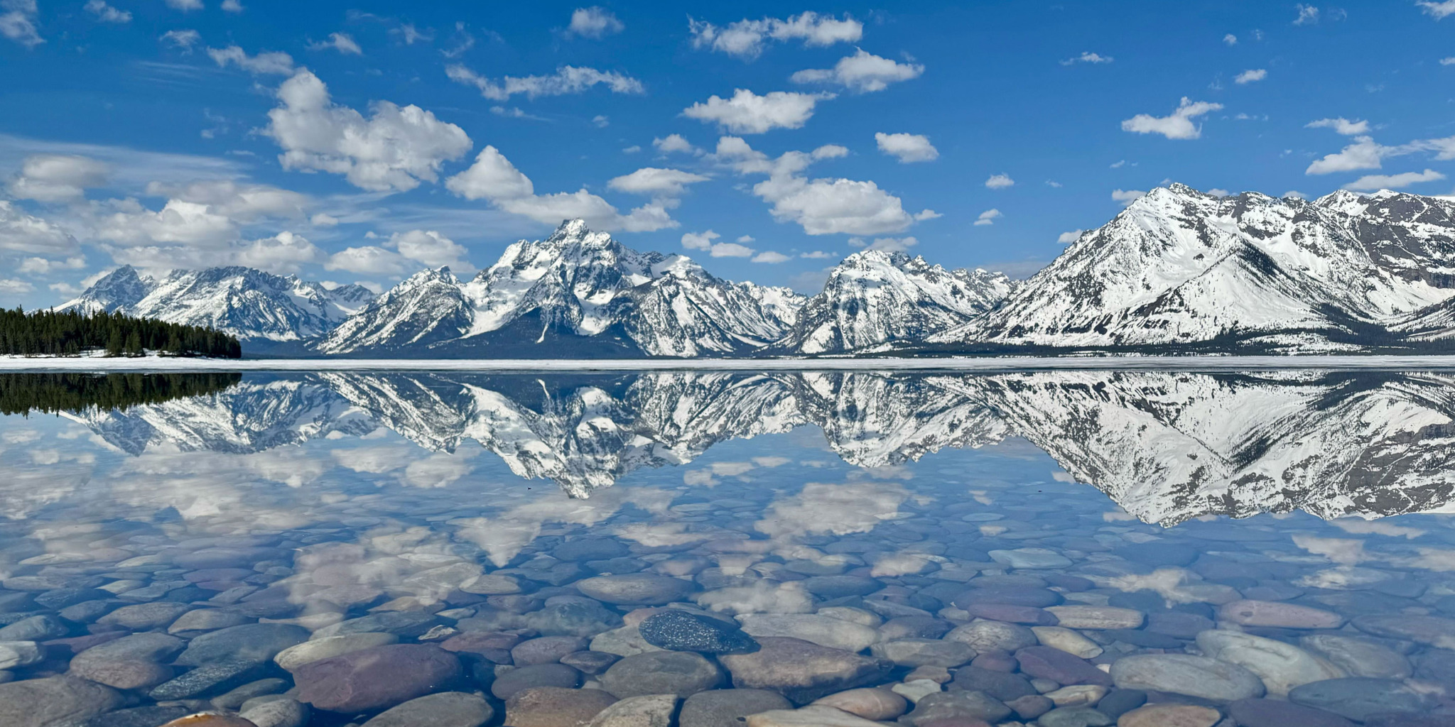 Your Complete Guide to Wildlife Tours in Jackson Hole