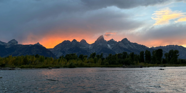 Snake River Scenic Float & Sunset Wildlife Safari | Grand Teton