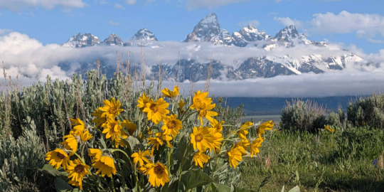 Best Time to Visit Jackson Hole: A Month by Month Guide